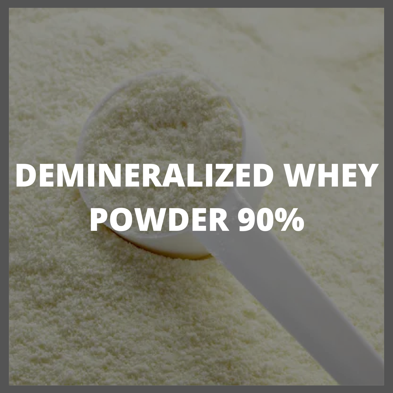 Demineralized Whey Powder 90% - uFoodin