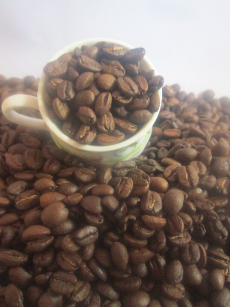 Arabica Medium roast Roasted coffee beans 1000gms - uFoodin
