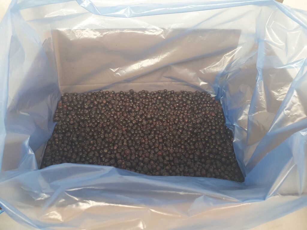 IQF Frozen Wild Blueberries (Vaccinium Myrtillus) - uFoodin