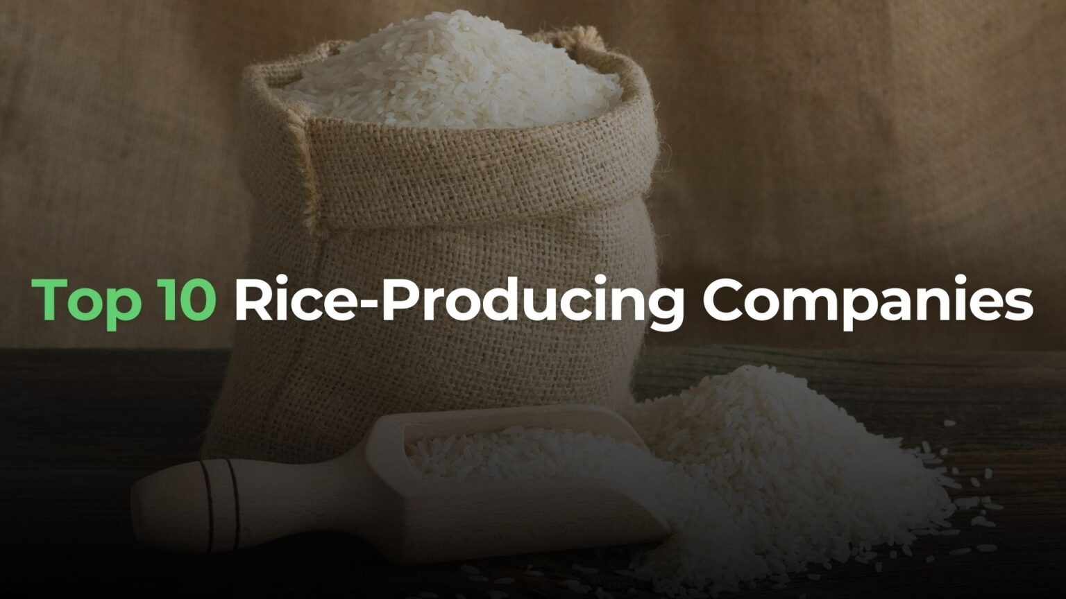 Top 10 des producteurs de riz : leaders d'un aliment de base mondial ...